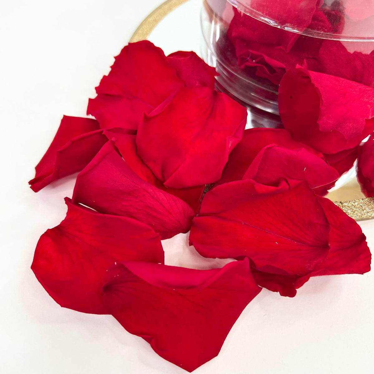 Loose Rose Petals– Forever Flowers UK