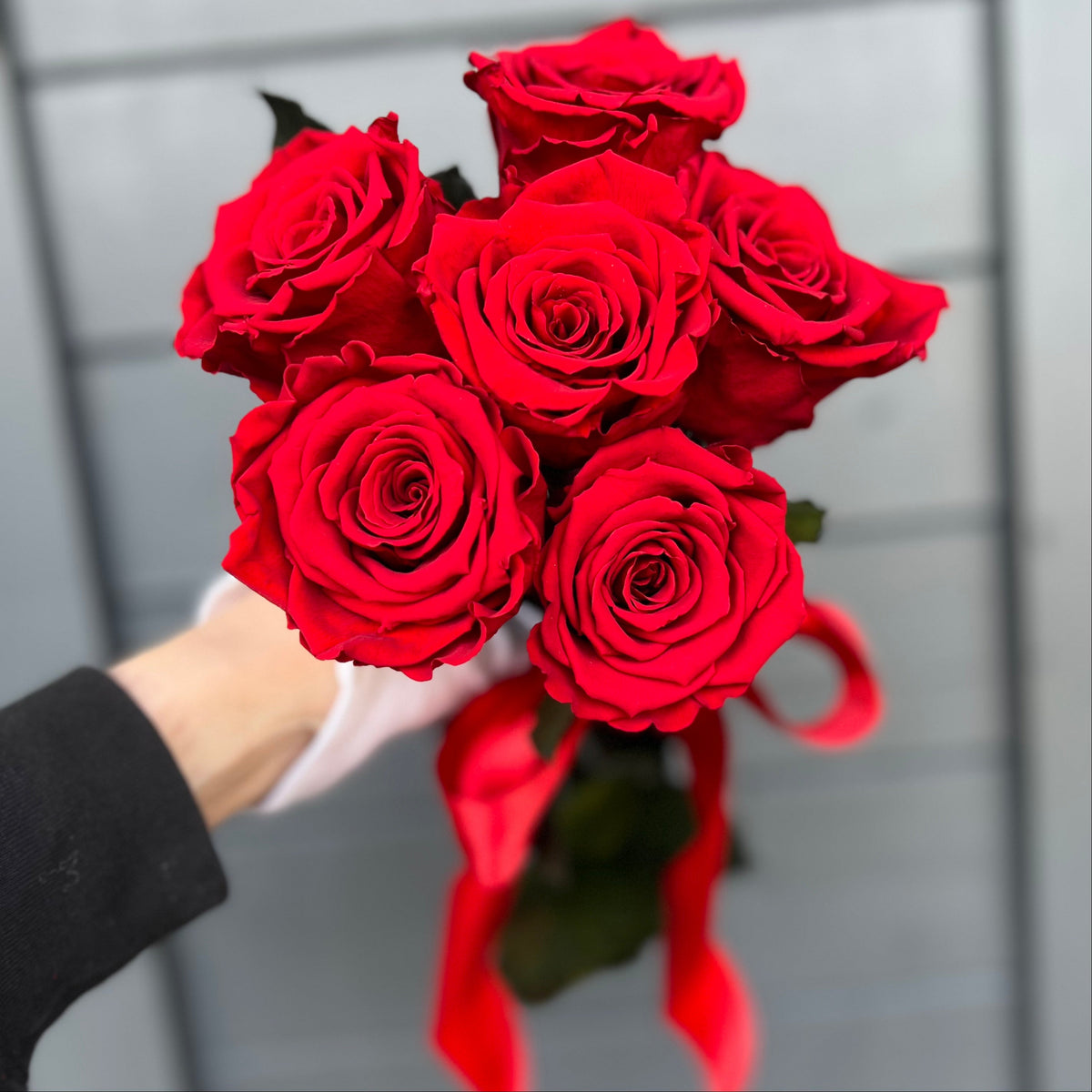 Half a Dozen Red Roses -🎀 Galentine's Day Collection– Forever Flowers UK